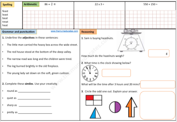 Year 3 FREE worksheets - The Mum Educates