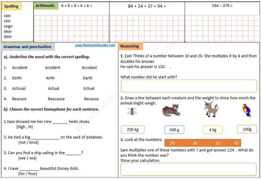 Year 3 FREE worksheets - The Mum Educates