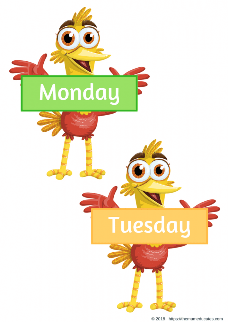 Days of the week flashcards, poster and activities - The Mum Educates