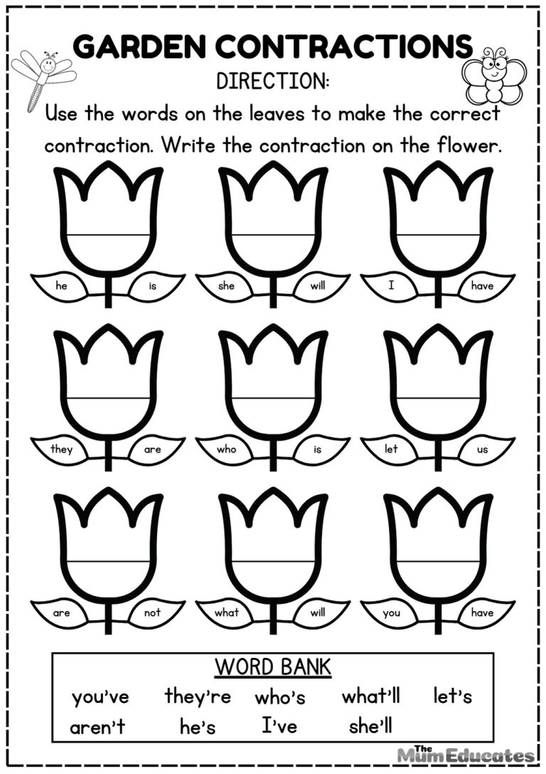Contractions in Grammar Worksheets - FREE - The Mum Educates